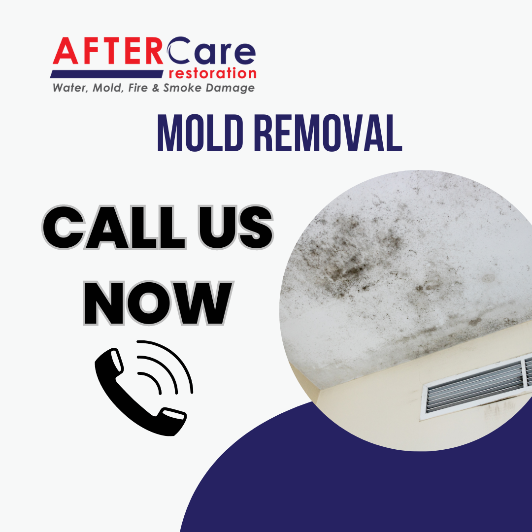 Mold Remediation Services in Allentown, PA | Aftercare Restoration