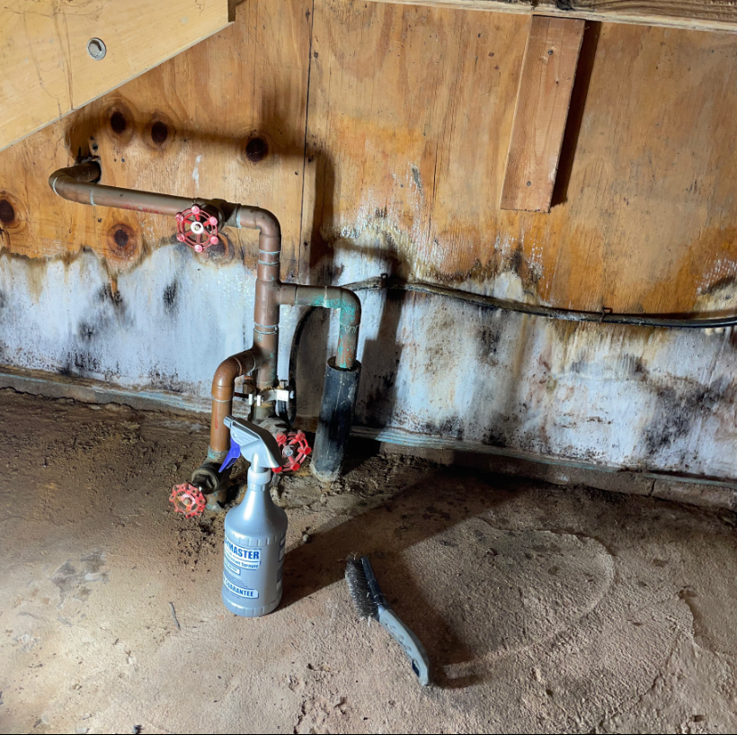 Mold Remediation in Centreville, VA | Black Mold Removal