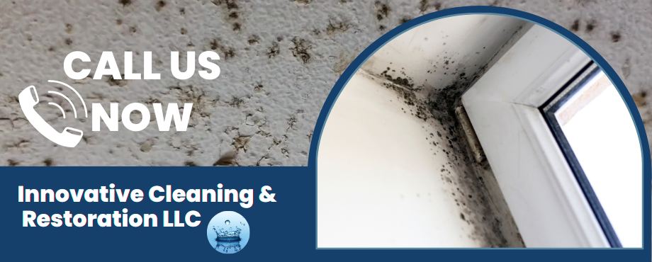 Mold Remediation in Arnold and Festus, MO | Black Mold Removal