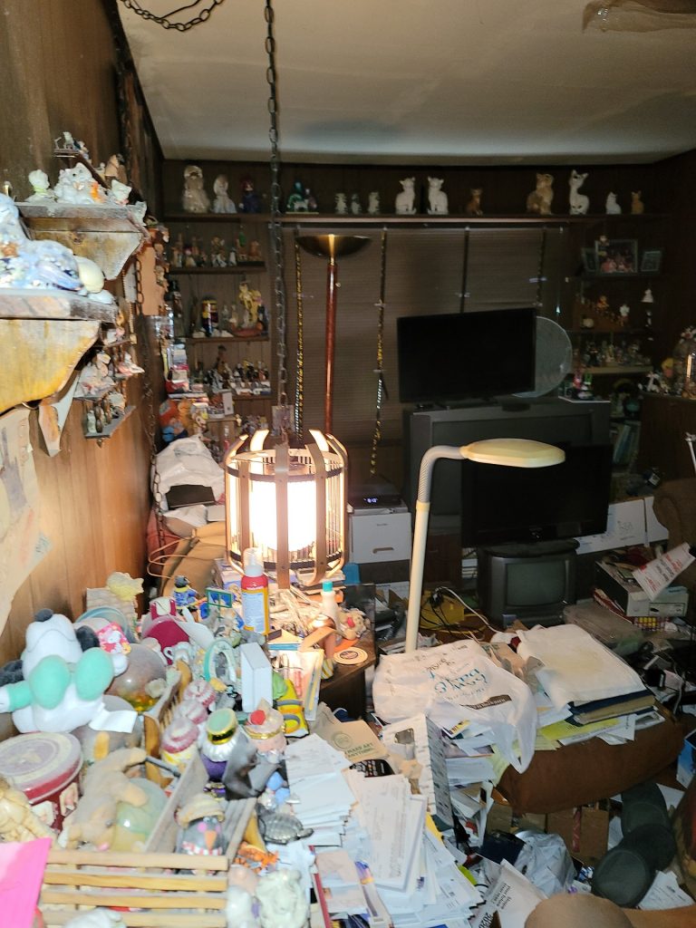 Hoarding Cleanup in Freehold, NJ | Hoarder Cleaning Freehold NJ