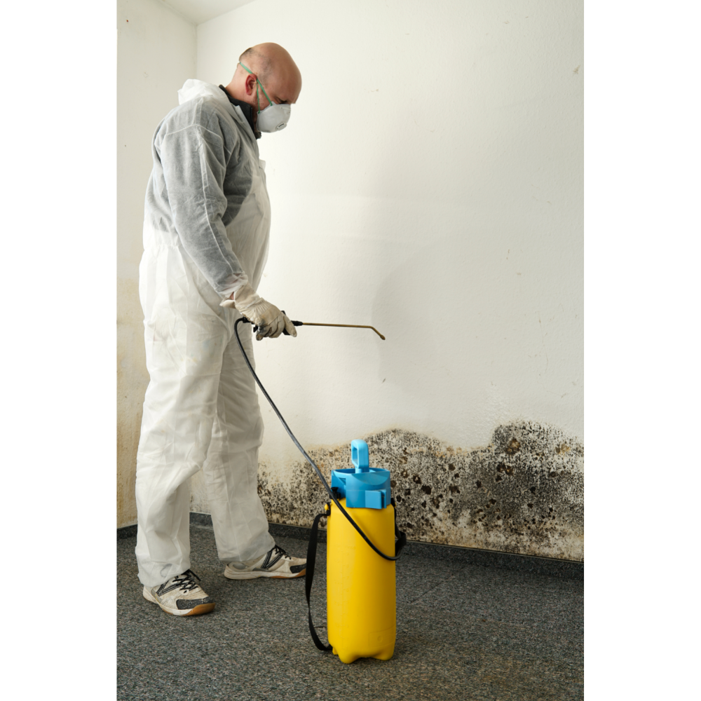 Mold Removal and Mold Remediation in Minnetonka, MN