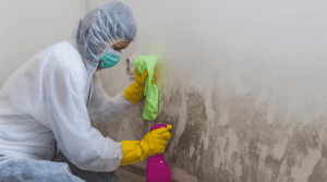 3 Things You Should Know Before You Try DIY Mold Removal