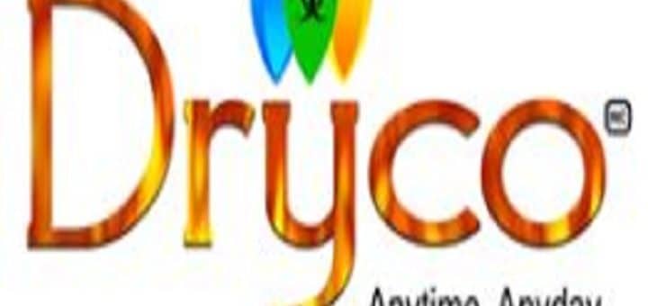 Cockroaches and Water Damage: How to Keep Them Away