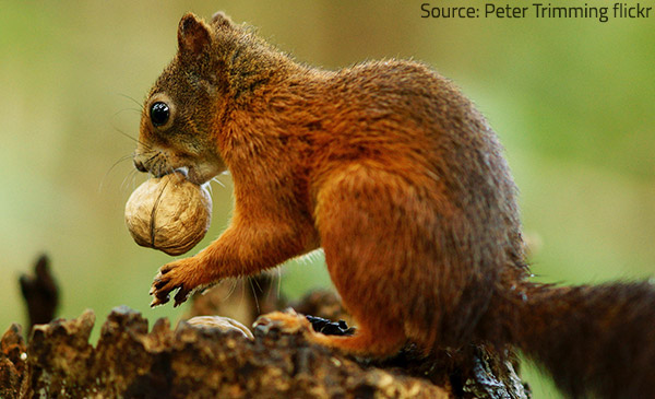 The Different Types of Hoarding Disorders - Hoarder Help