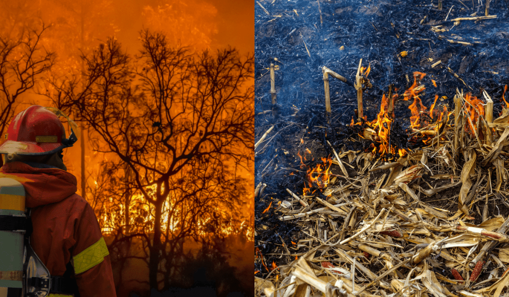 High Temperatures Increasing Risks for Drought and Fires | Fire Damage