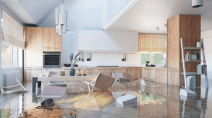 Flooded Kitchen – What to Do | Water Damage Restoration Guide