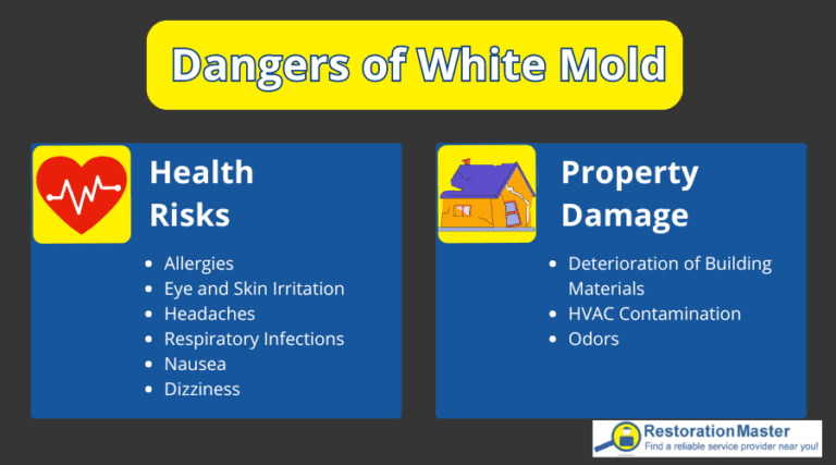 What is White Mold and Why is it Dangerous?