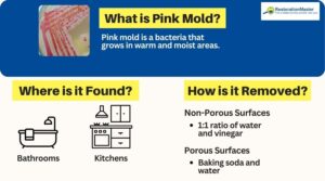 What is Pink Mold and How to Remove It