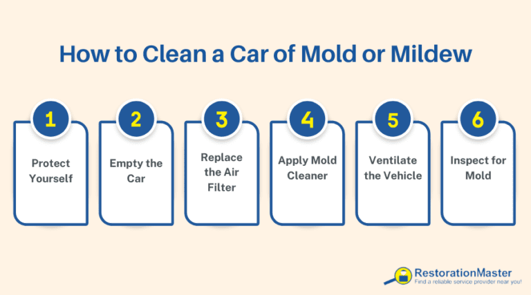 How to Clean a Car of Mold or Mildew | RestorationMaster
