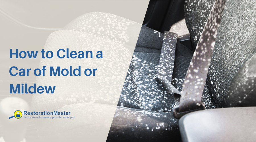 How to Clean a Car of Mold or Mildew | RestorationMaster