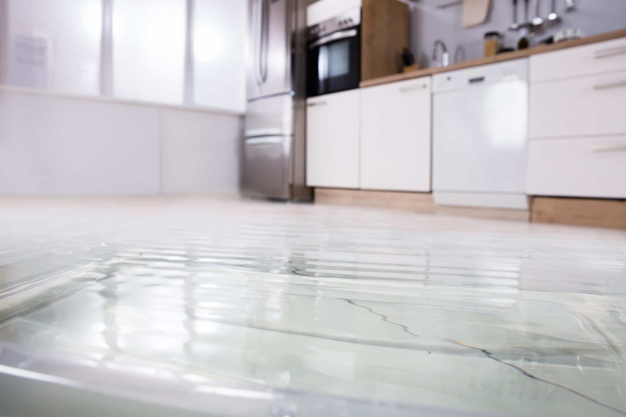 7 Basement Flooding Prevention Tips | Water Damage Prevention Blog