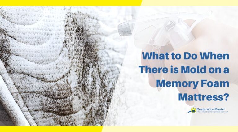 Mold on a Memory Foam Mattress: Clean It or Replace It?