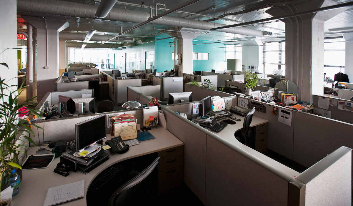 How to Keep Pests Out of Your Office Space | Commercial Cleaning Blog