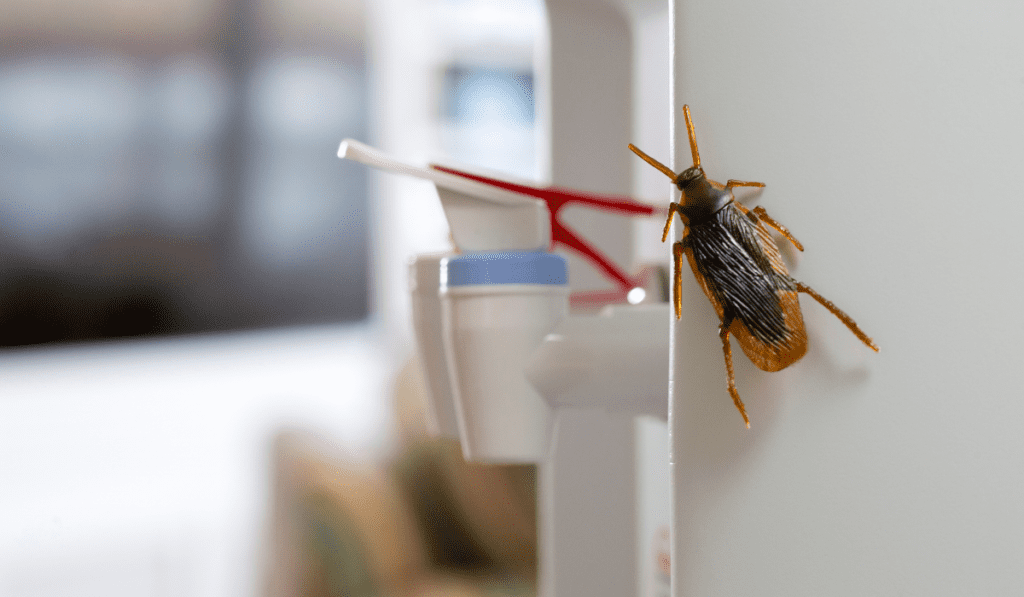 How to Keep Pests Out of Your Office Space | Commercial Cleaning Blog
