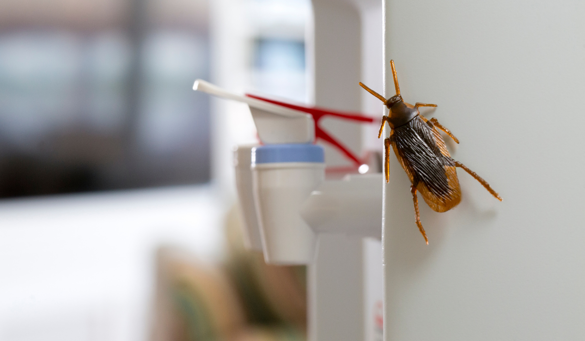 How to Keep Pests Out of Your Office Space | Commercial Cleaning Blog