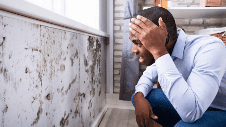 What to Do if You Experience Symptoms of Mold Exposure at Workplace