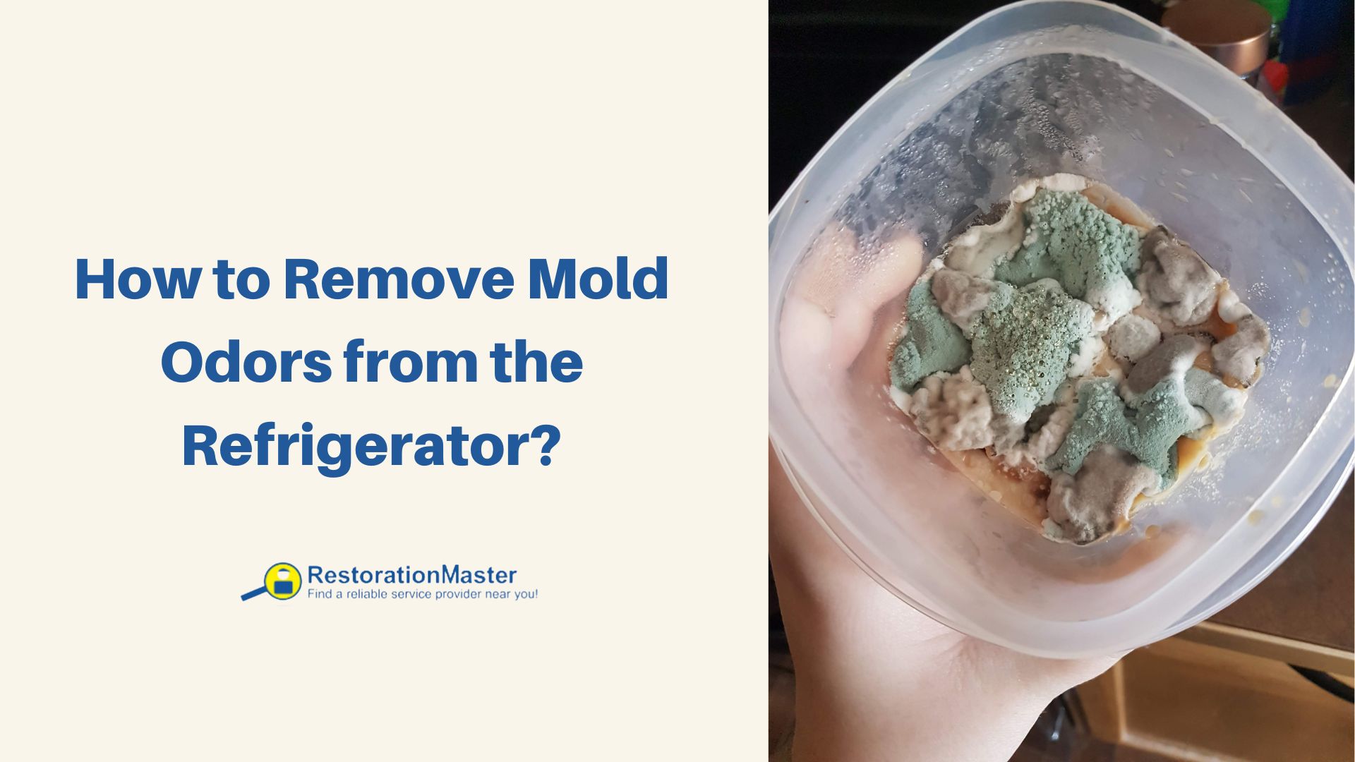 How to Remove Mold Odors from the Refrigerator | Mold Removal