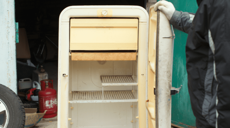 How to Remove Mold Odors from the Refrigerator | Mold Removal