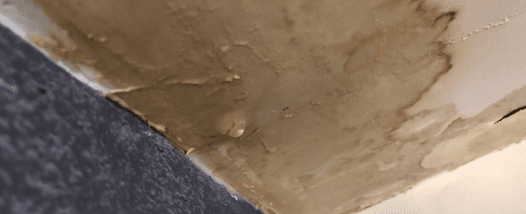 Signs of Water Damage in Walls | How to Remediate Water Leaks