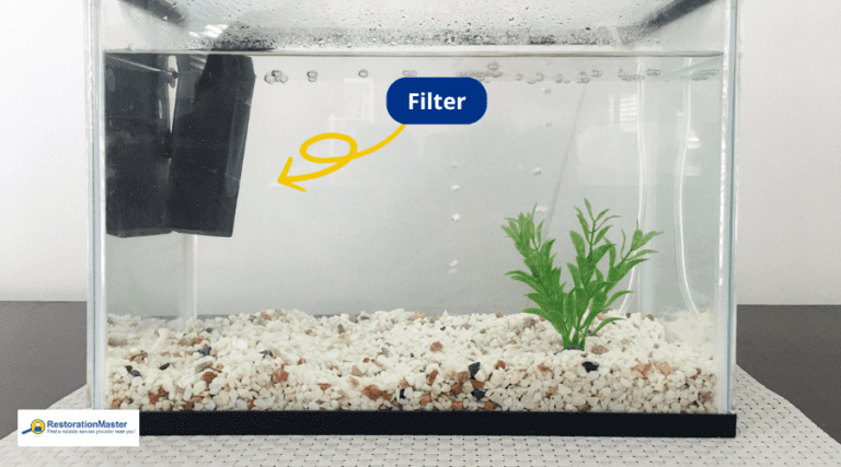 Dealing with a Leak from a Fish Tank Filter | Clean Water Damage