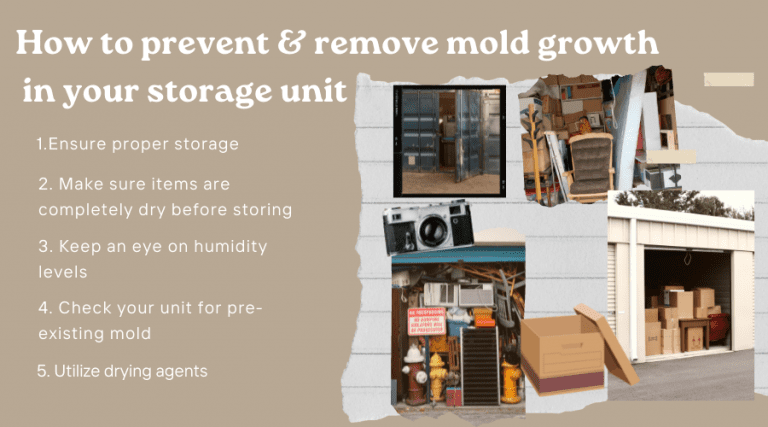 How to Prevent and Remove Mold Growth from Your Storage Unit