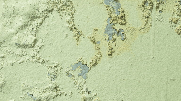 How to Remove Mold from Painted Surfaces | Mold on Painted Wall