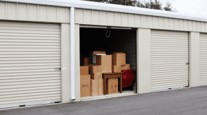 How to Prevent and Remove Mold Growth from Your Storage Unit