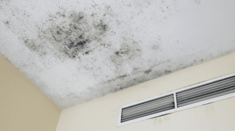 How to Remove Mold from Popcorn Ceilings?