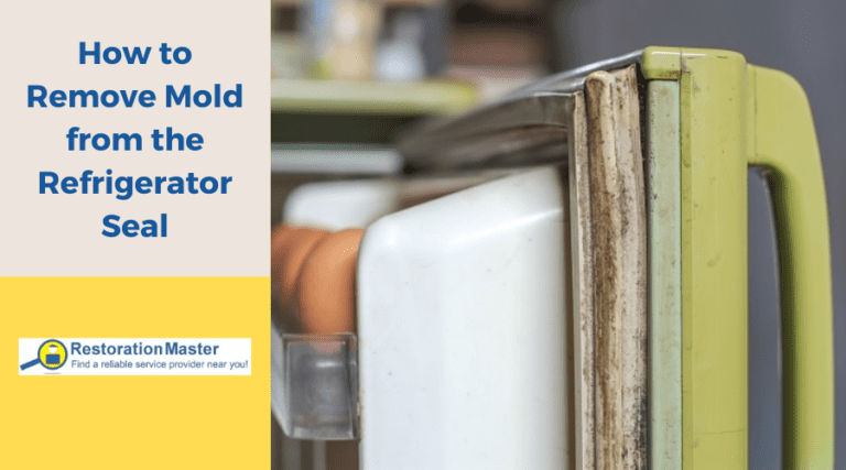 Three Methods to Remove Mold from the Refrigerator Seal