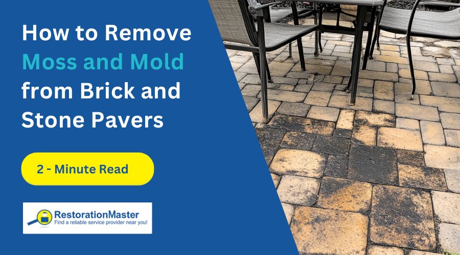 How to Remove Moss and Mold from Brick and Stone Pavers