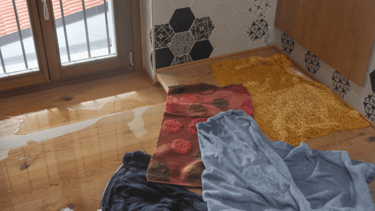 The Dangers of Stagnant Water and How to Remove It