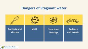 The Dangers of Stagnant Water and How to Remove It