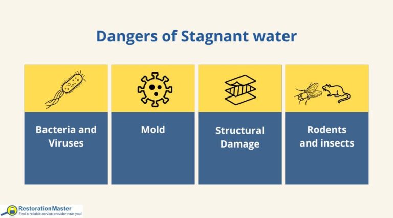 The Dangers of Stagnant Water and How to Remove It