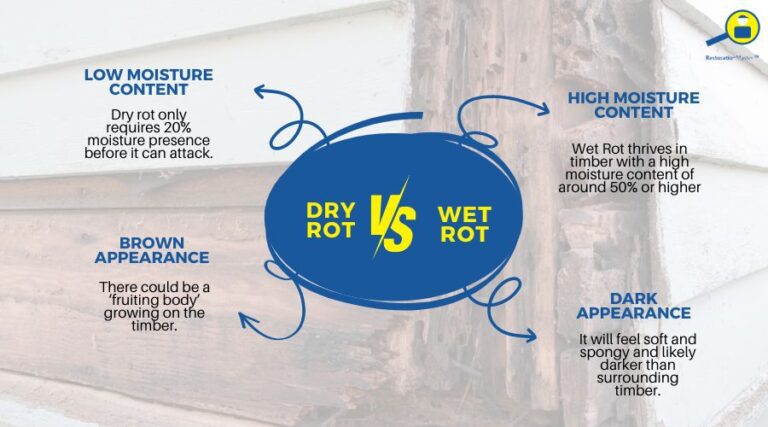 Dry Rot vs Wet Rot: How to Fix Both