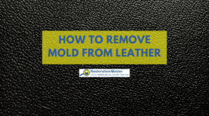 How to Effectively Remove Mold from Leather