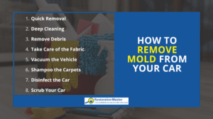How to Remove Mold From Your Car | 8 Easy Steps