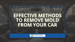How to Remove Mold From Your Car | 8 Easy Steps