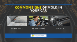 How to Remove Mold From Your Car | 8 Easy Steps