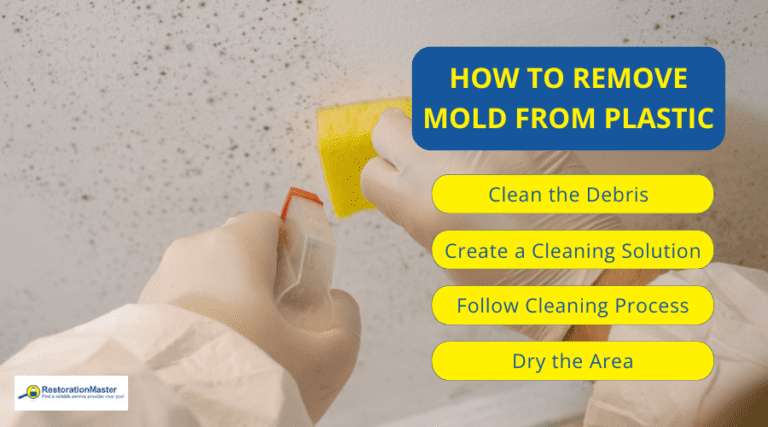 Mold on Plastic? Safe Removal & Prevention Tips | Video