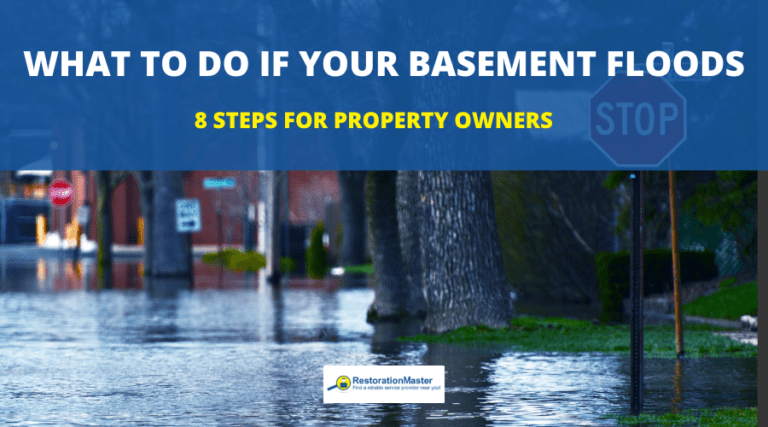 What to Do If Your Basement Floods: 8 Steps for Property Owners