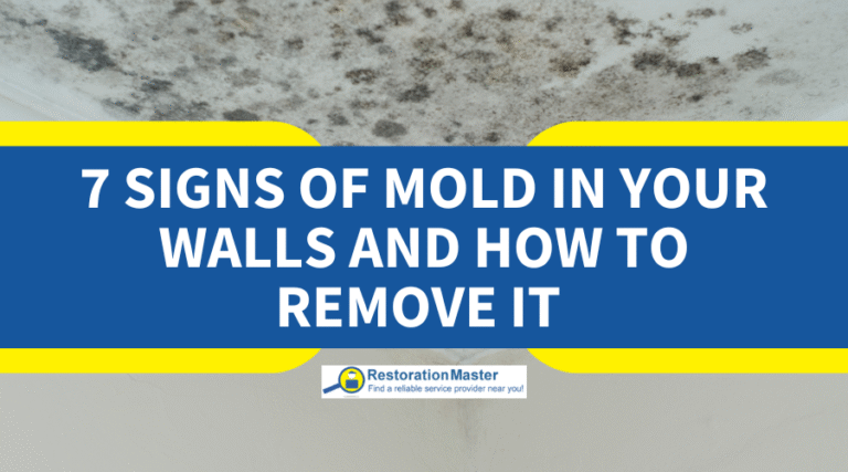 How to Spot Mold in Walls: 7 Early Signs You Should Never Ignore