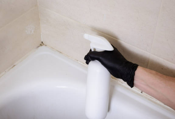 Mold in Bathroom Shower: Bathroom Mold Removal & Remediation