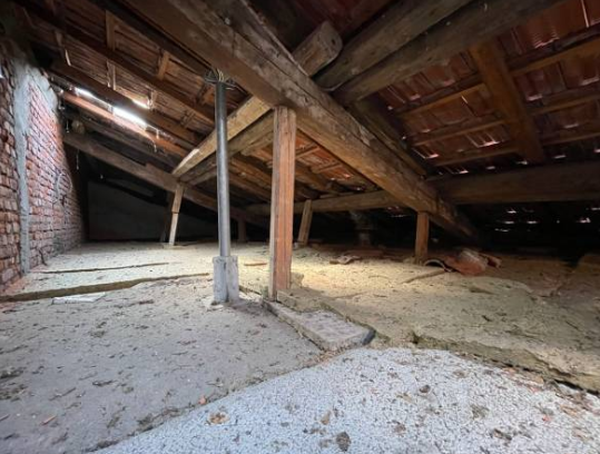 Mold in the Crawl Space – Crawl Space Mold Removal